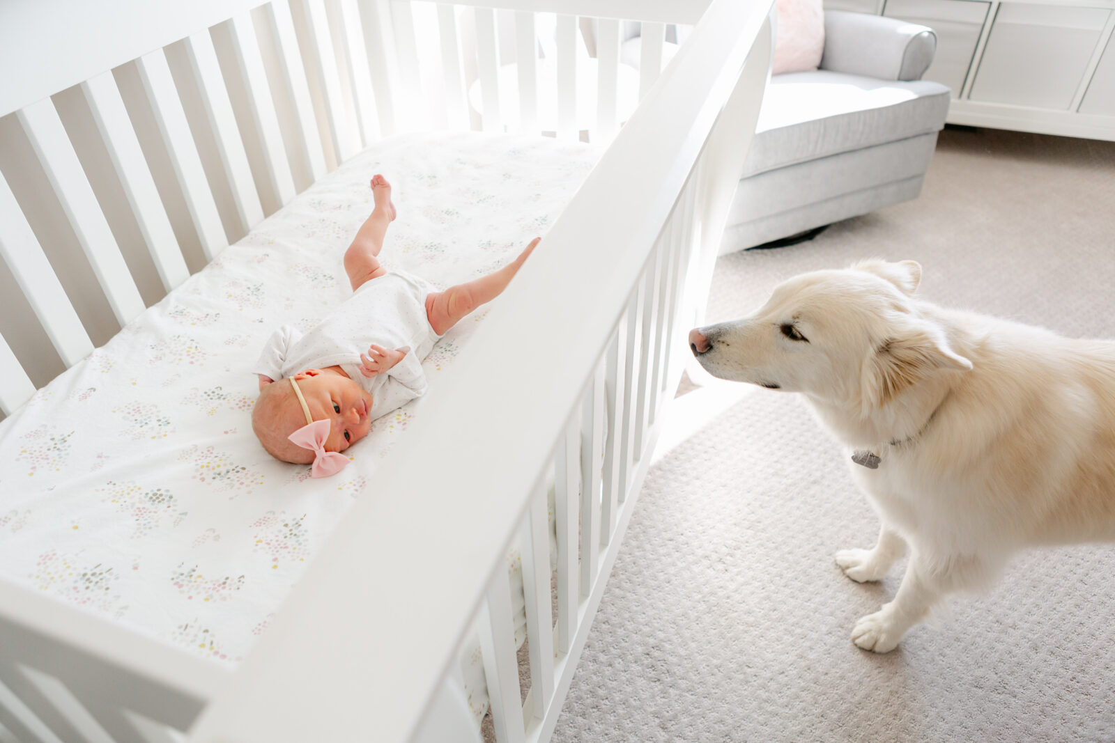In Home Calgary Newborn Session | Baby Photographer Calgary ...